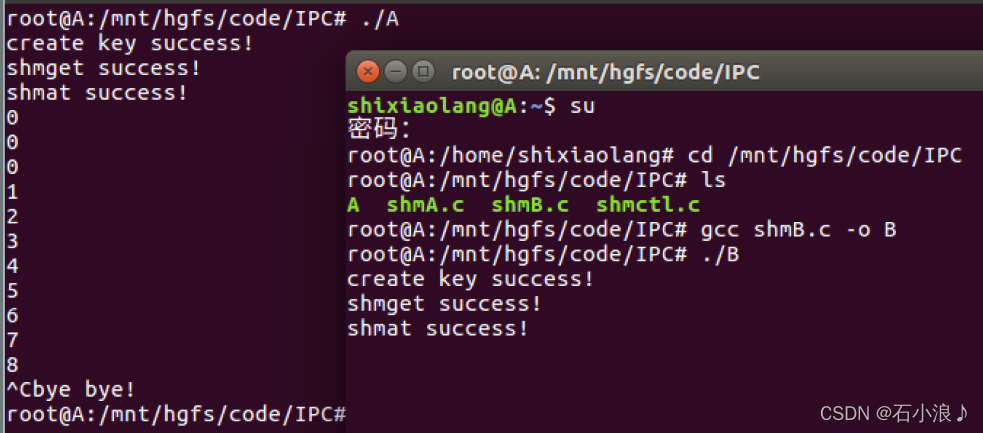 Linux C C++实现System V IPC三大核心机制-开发者社区-阿里云