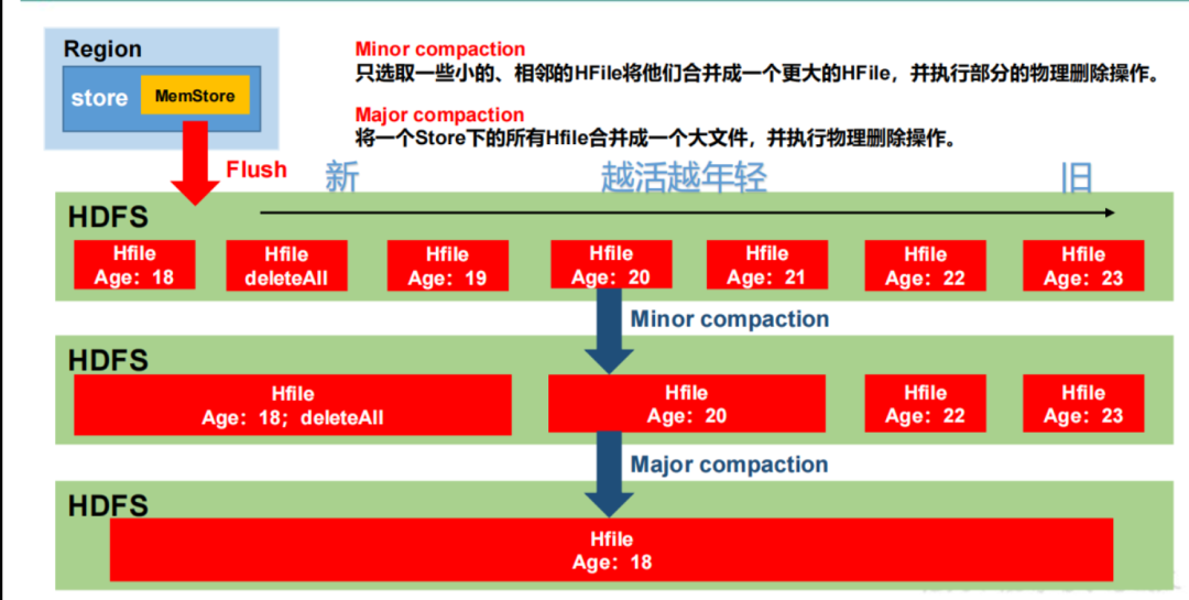 深入解析HBase核心原理存储机制与实战-开发者社区-阿里云