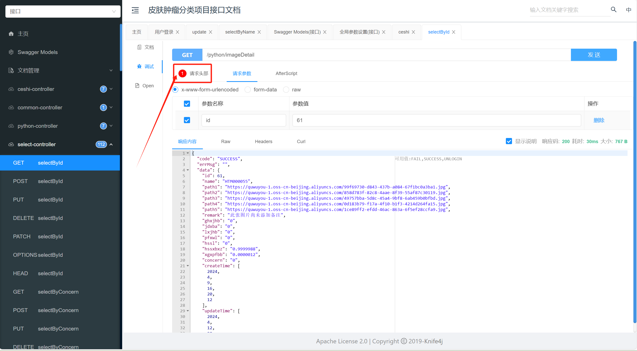 Swagger接口文档 —— 手把手教学，全方位超详细小白能看懂，百分百能用Java版-阿里云开发者社区