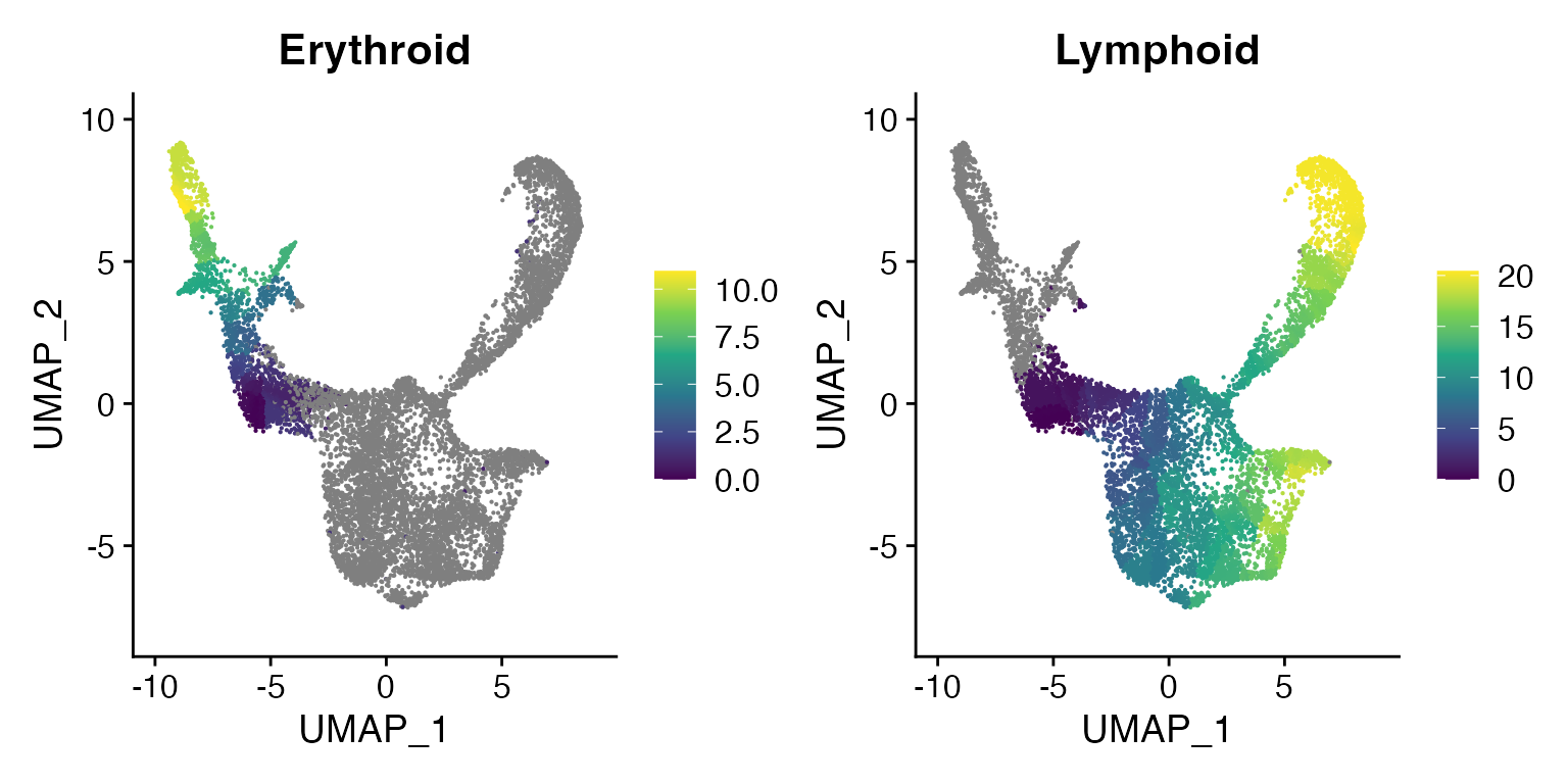 使用Monocle 3构建Seurat单细胞ATAC-seq发育轨迹-开发者社区-阿里云
