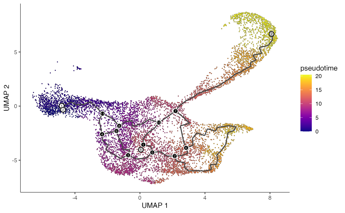 单细胞分析 | 使用 Monocle 3 进行发育轨迹分析-阿里云开发者社区