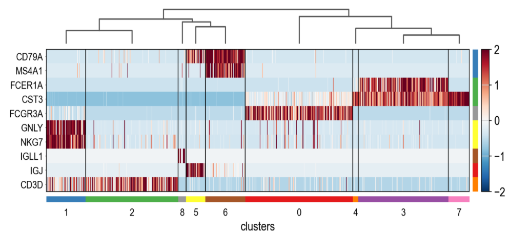 单细胞分析: Scanpy 核心绘图 (3)-阿里云开发者社区