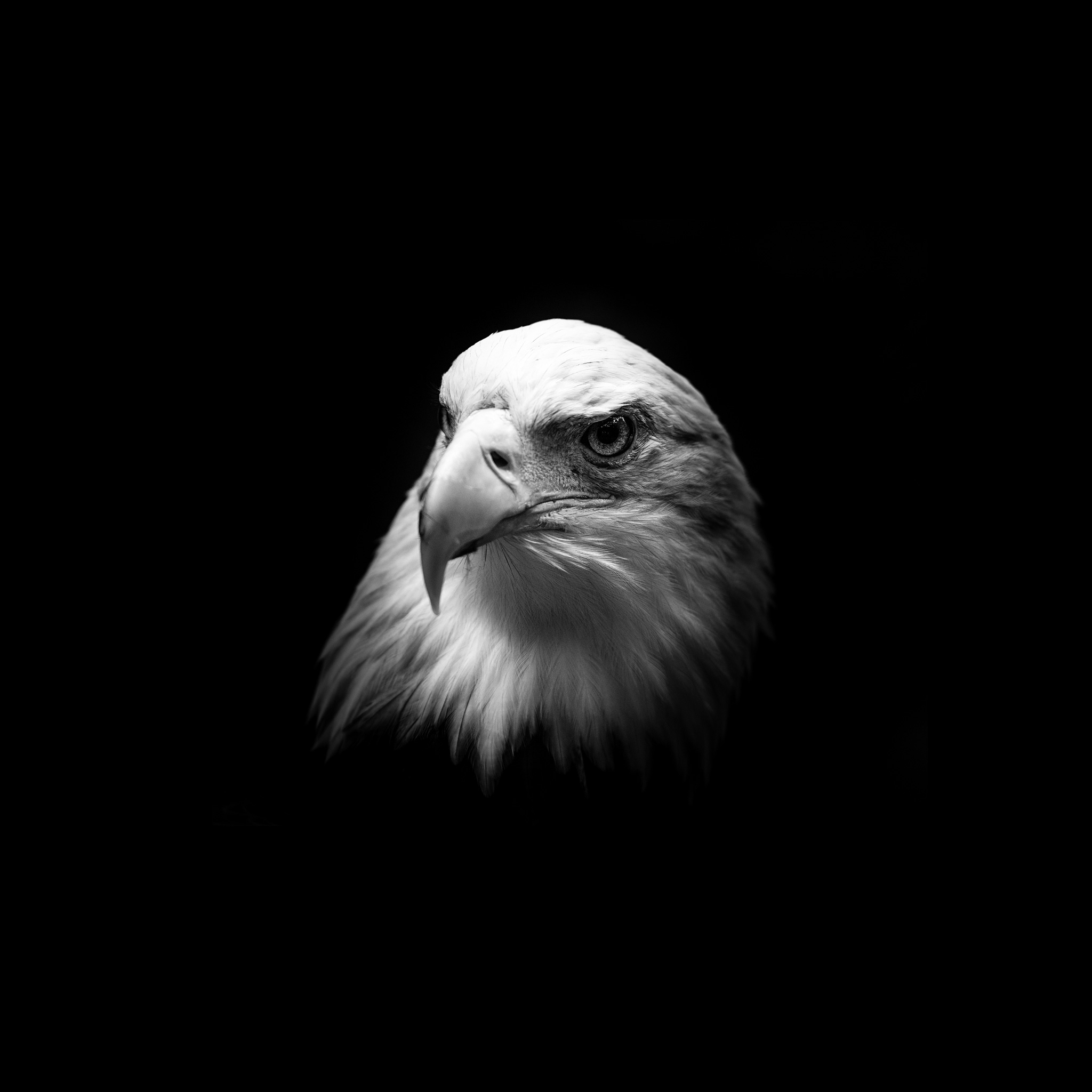 Intel TME和MKTME技术解析-阿里云开发者社区