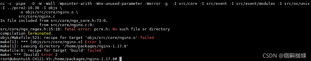 在Ubuntu上离线安装Nginx的踩坑经历-阿里云开发者社区