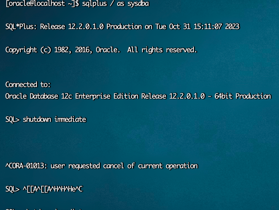 oracle 重启步骤及踩坑经验-阿里云开发者社区