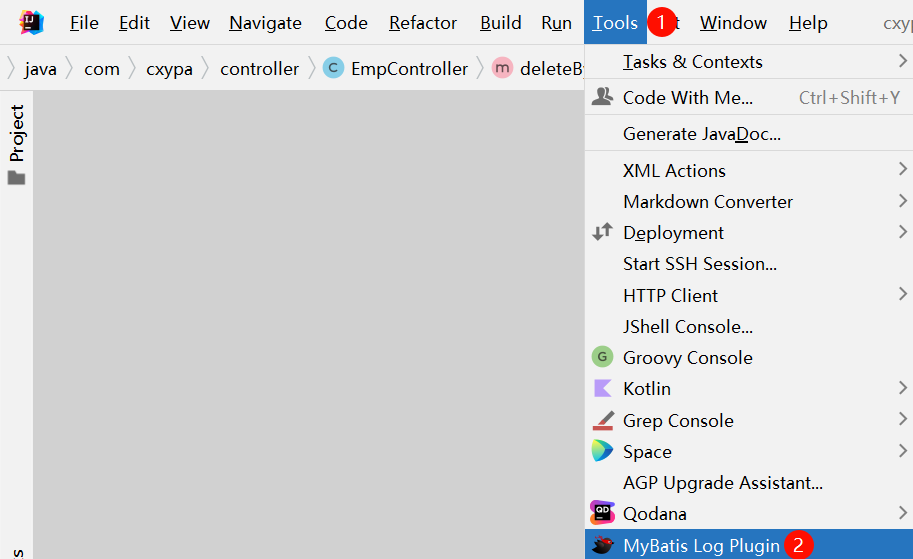 IDEA插件-Mybatis Log Free日志替换-阿里云开发者社区