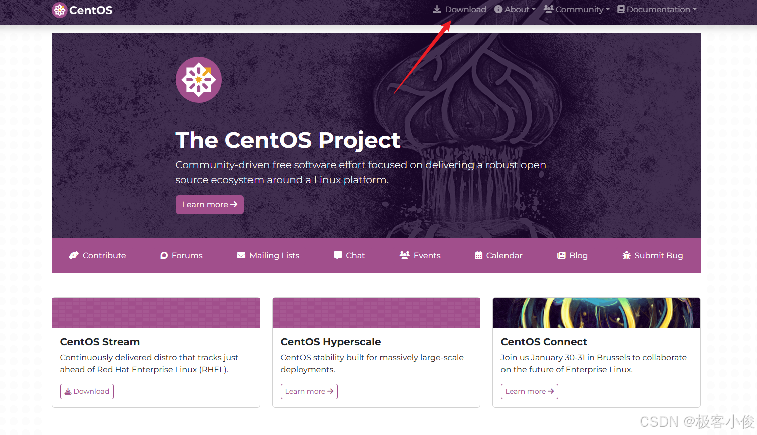 零基础保姆级教程！手把手教你免费玩转Linux CentOS安装+学习环境搭建（附避坑指南）-阿里云开发者社区