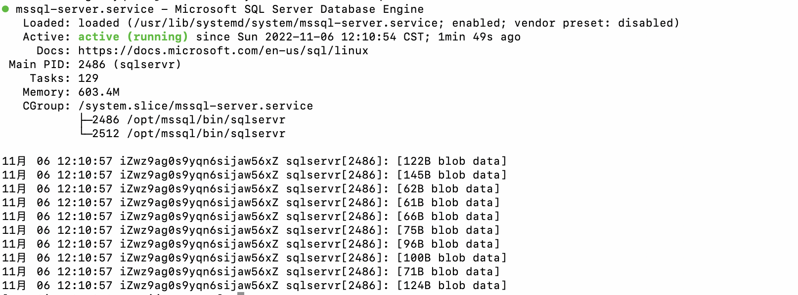 SQL Server On Linux 安装详解-阿里云开发者社区