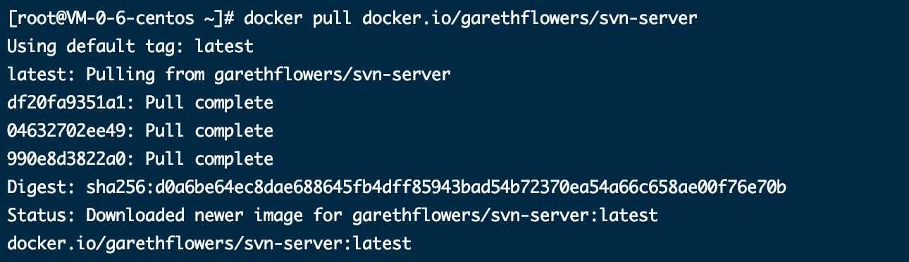 Docker下安装SVN-阿里云开发者社区