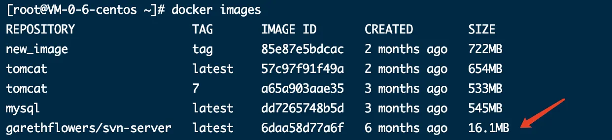 Docker下安装SVN-阿里云开发者社区