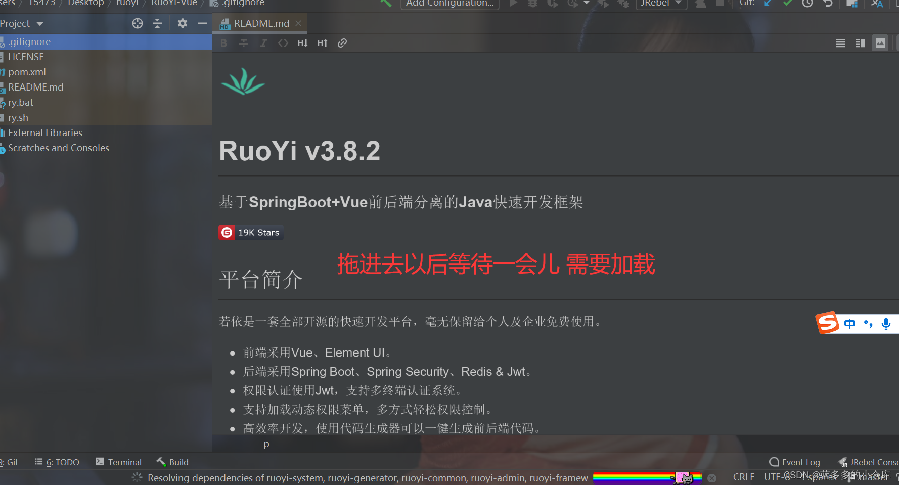 若依（ruoyi）管理系统（前后端分离版）本地运行教程（Windows）-阿里云开发者社区