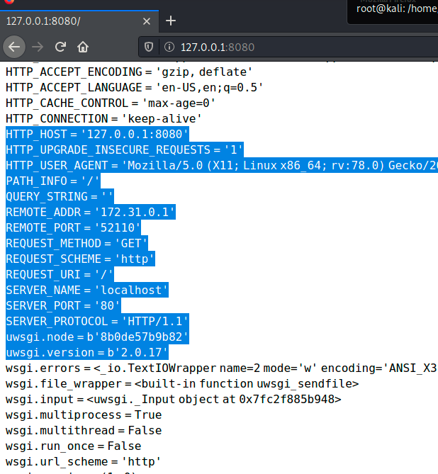 uWSGI 未授权访问漏洞-阿里云开发者社区