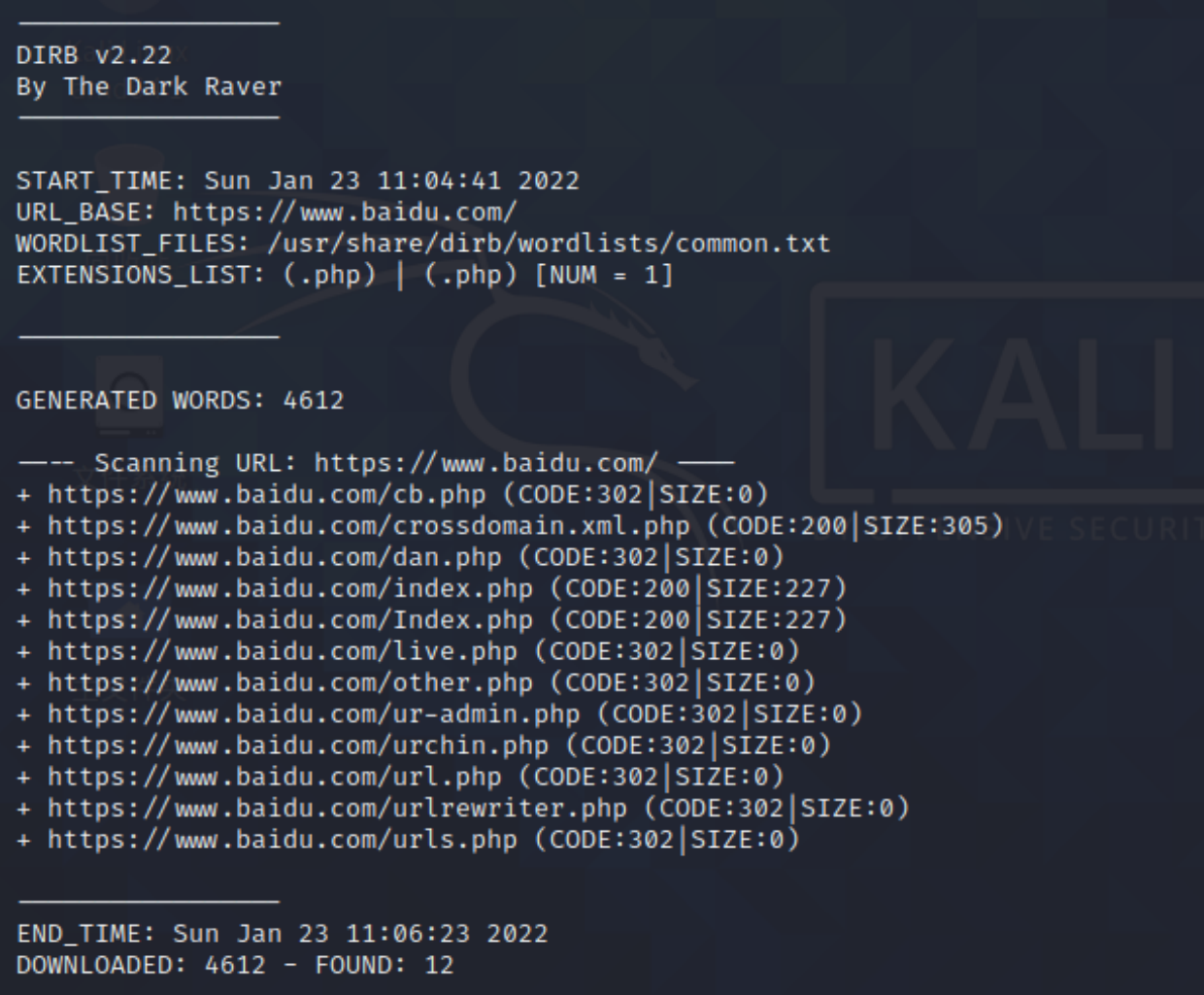 渗透测试-dirb使用教程-web目录爆破-阿里云开发者社区