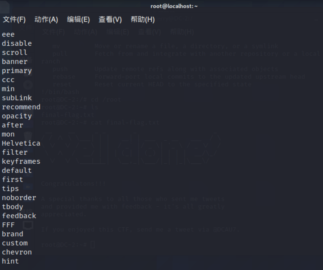 2022-渗透测试-Kali Linux字典生成工具Cewl使用指南-阿里云开发者社区