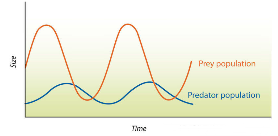 Python分析捕食者和被捕食者模型 Lotka--Volterra方程 | 拟合求解a，b，c，d-阿里云开发者社区