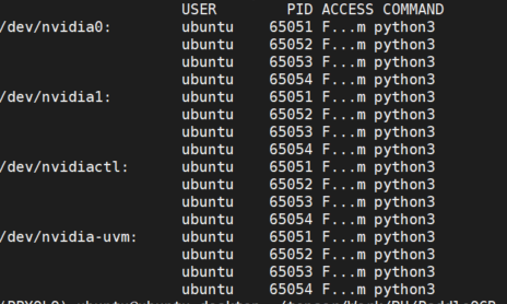 【linux】nvidia-smi 查看GPU使用率100%-阿里云开发者社区