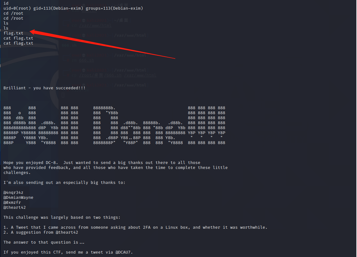 看完这篇 教你玩转渗透测试靶机vulnhub——DC8-阿里云开发者社区