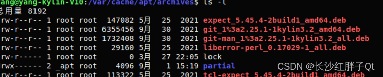麒麟系统开发笔记（七）：在线安装软件后，提取其安装包，部署目标机使用离线软件包方式安装软件 阿里云开发者社区