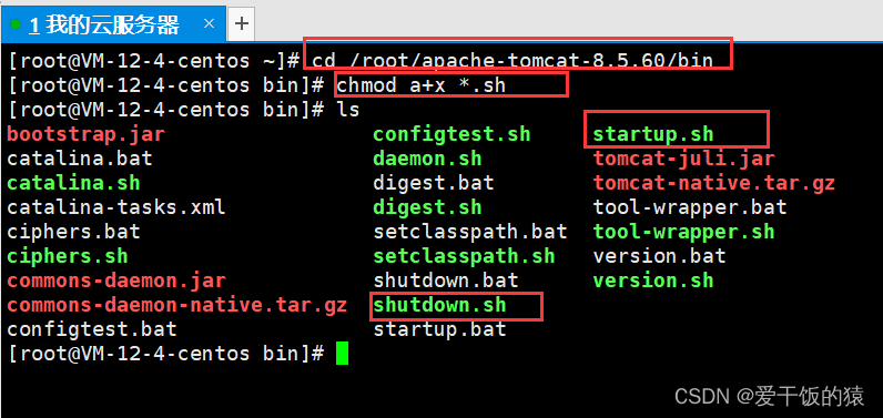 【Linux】部署web项目-阿里云开发者社区