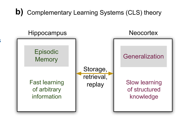 【博士每天一篇文献-综述】Continual lifelong learning with neural networks_ A review ...