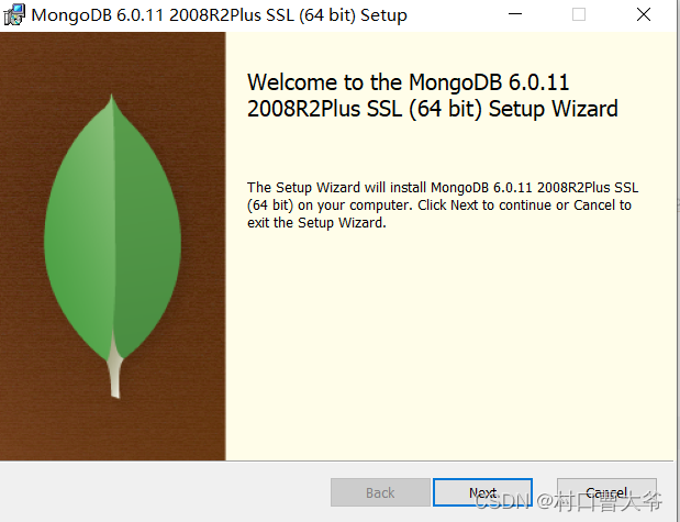 MongoDB入门级别教程全（Windows版，保姆级教程）-阿里云开发者社区