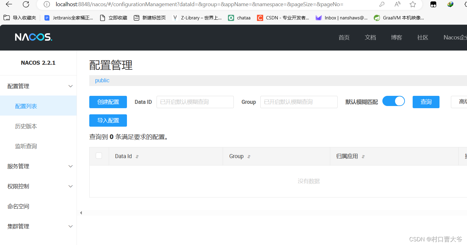 Nacos入门到精通-阿里云开发者社区