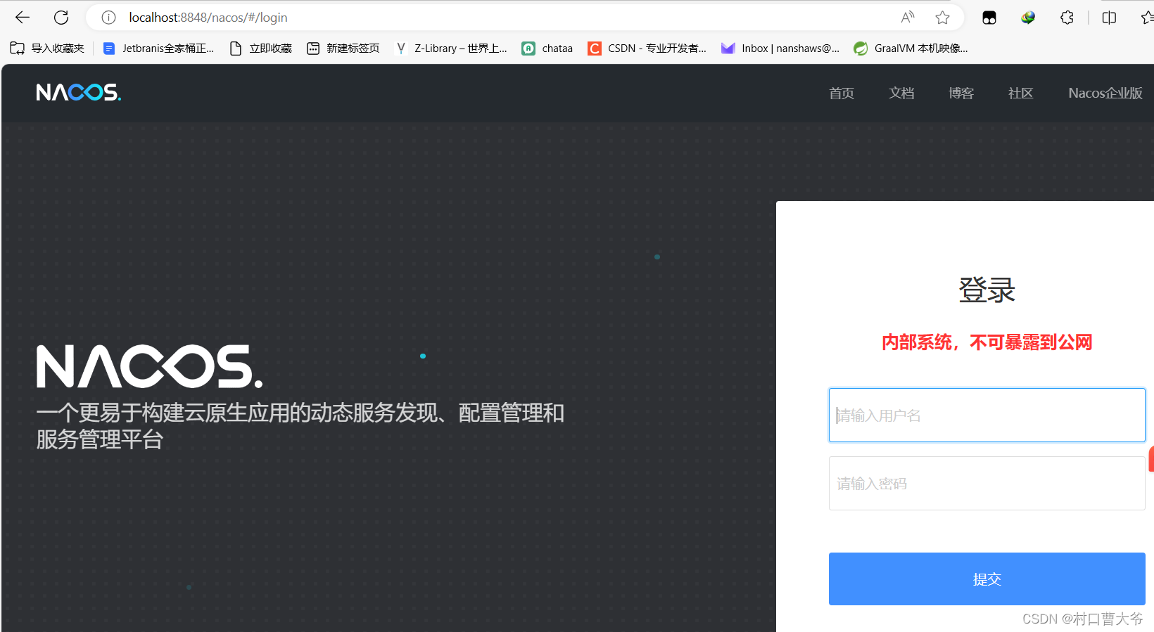 Nacos入门到精通-阿里云开发者社区