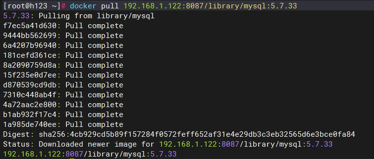 搭建Harbor私有镜像仓库及使用Docker Hub管理Docker镜像-开发者社区-阿里云