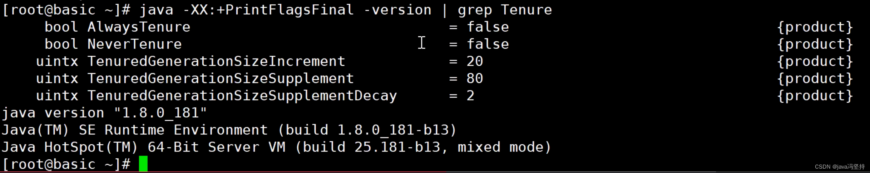 JVM知识体系学习六：JVM垃圾是什么、GC常用垃圾清除算法、堆内存逻辑分区、栈上分配、对象何时进入老年代、有关老年代新生代的两个问题、常见的 ...
