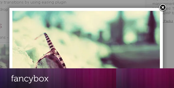 【网站开发必备】——12款响应式 Lightbox（灯箱）效果插件-阿里云开发者社区