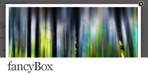 【网站开发必备】——12款响应式 Lightbox（灯箱）效果插件-阿里云开发者社区