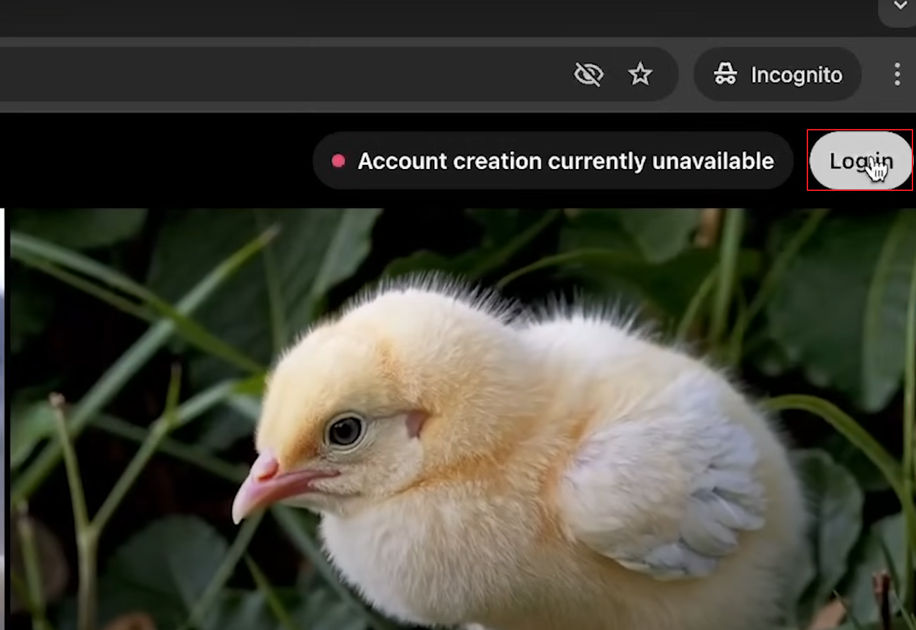 OpenAI Sora 怎么用：最新详细教程-新手小白必看 ｜ Sora 如何使用？(202412月最新更新)-阿里云开发者社区