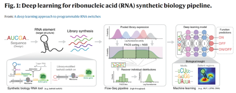 Nat. Commun. | 深度学习探索可编程RNA开关-阿里云开发者社区