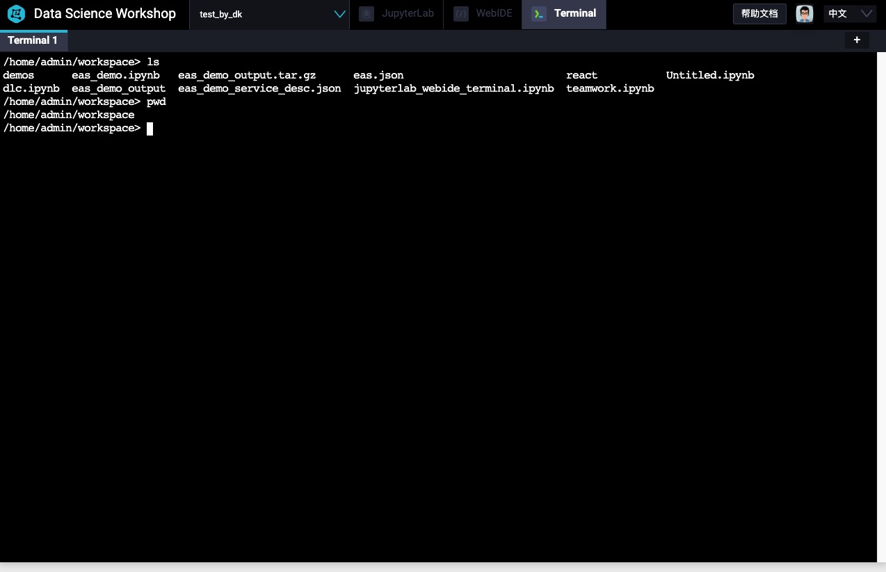 PAI-DSW开发环境核心组件与功能快速入门-开发者社区-阿里云