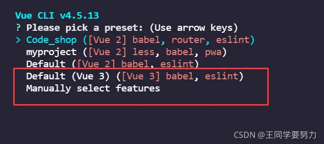 五分钟教你使用vue-cli3创建项目（三种创建方式，小白入门必看）-阿里云开发者社区