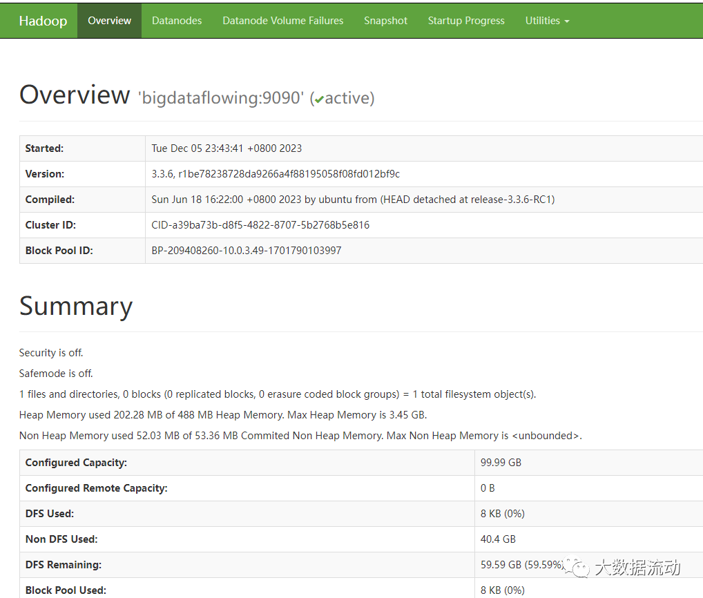 在CentOS上安装并配置Hadoop 3.3.6单机伪集群-开发者社区-阿里云