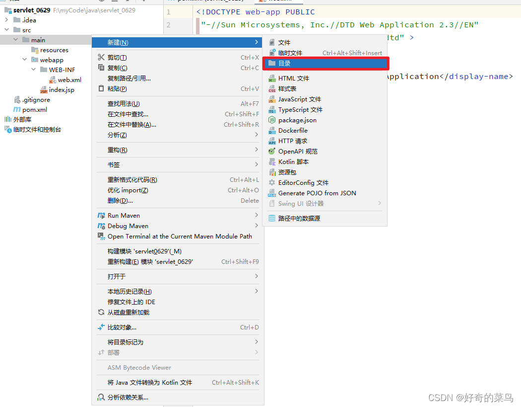 IDEA创建一个Servlet项目(tomcat10)-阿里云开发者社区