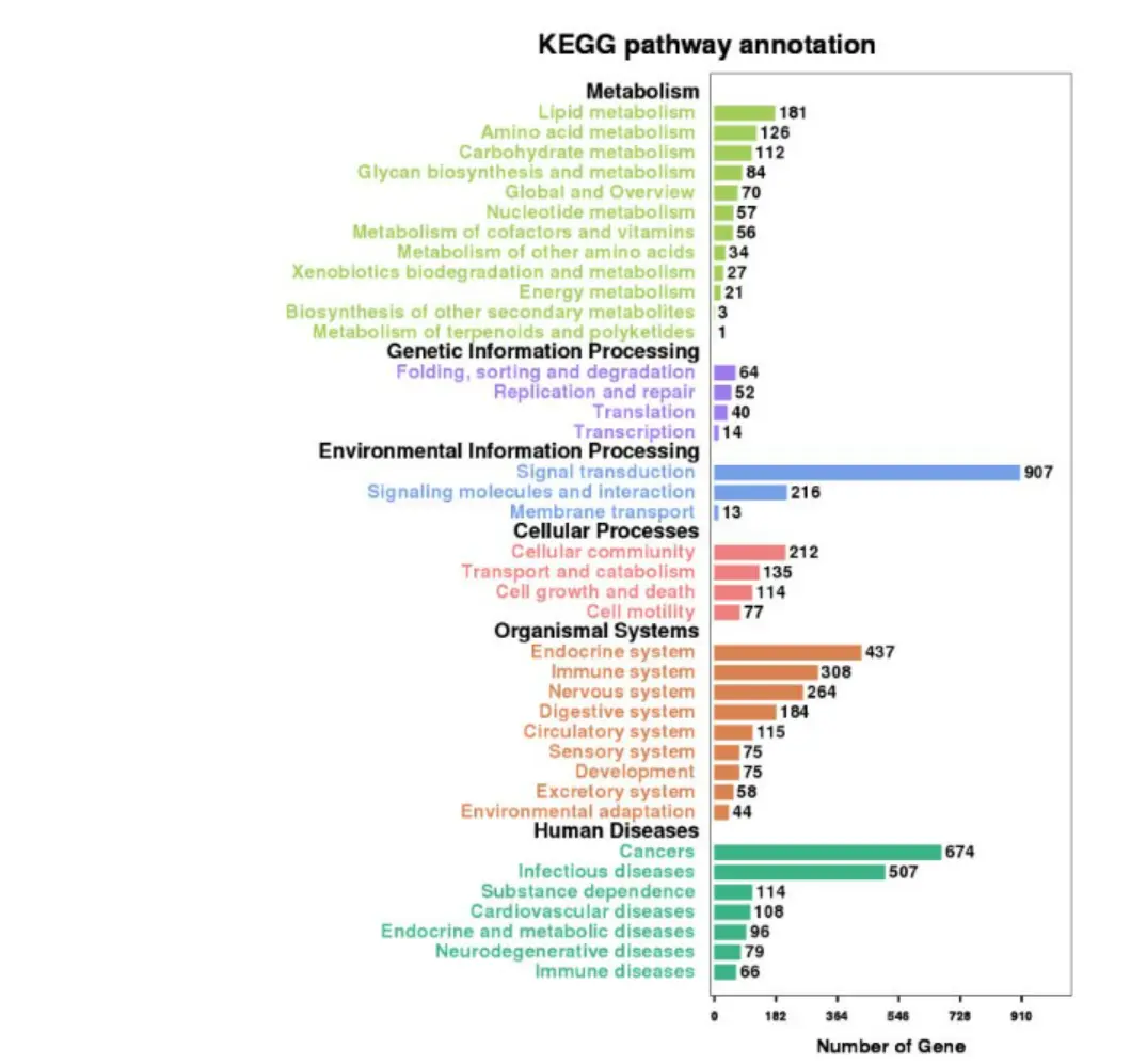 分级KEGG富集pathway图绘制-阿里云开发者社区
