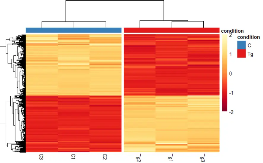 拿到基因表达矩阵之后的那点事(三)-阿里云开发者社区