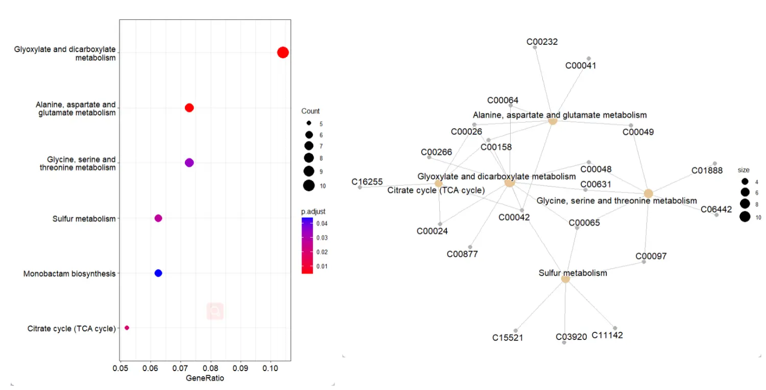massdatabase包提取KEGG通路与代谢物关系用于富集分析-开发者社区-阿里云