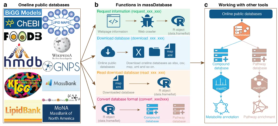 massdatabase包提取KEGG通路与代谢物关系用于富集分析-开发者社区-阿里云