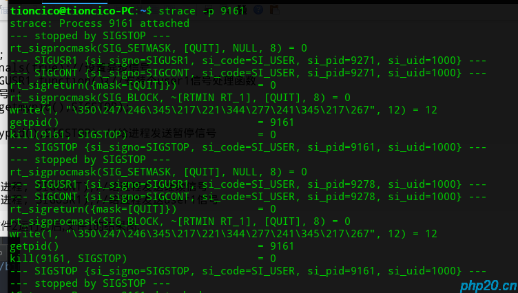 Php进程通信 进程信号(2) 阿里云开发者社区