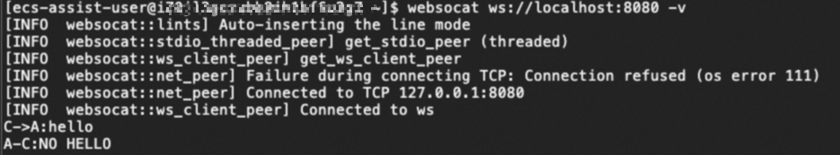 WebSocket协议相关的测试命令工具使用简介-阿里云开发者社区