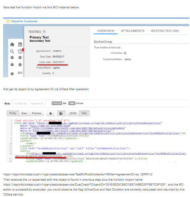  SAP C4C Custom BO ABSL OData 