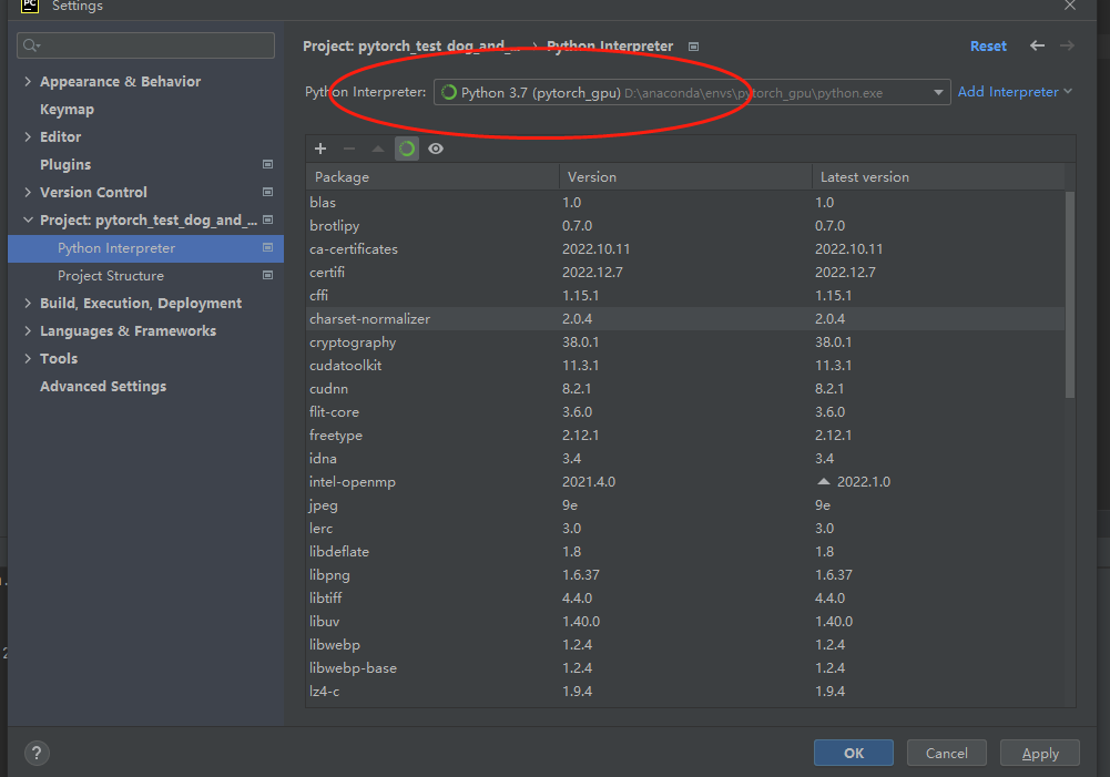 anaconda+pytorch+opencv安装及环境配置-阿里云开发者社区