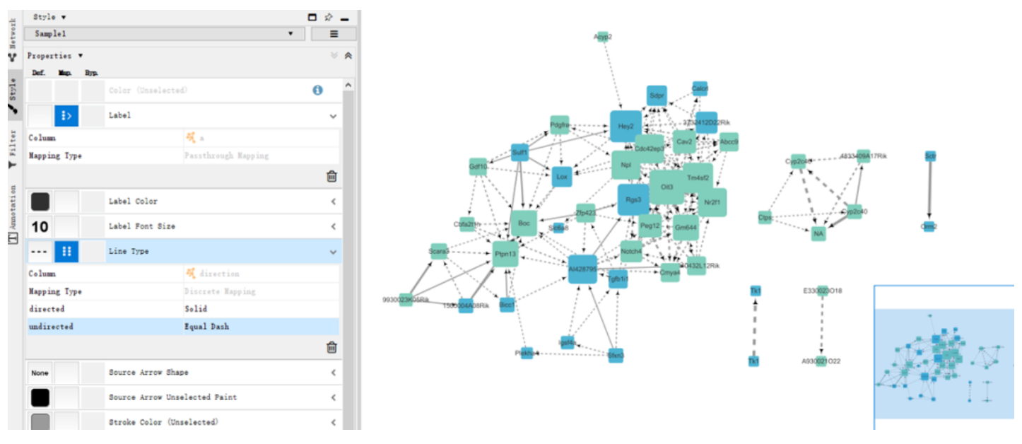 Cytoscape网络可视化 | 以WGCNA结果的网络可视化为例-阿里云开发者社区