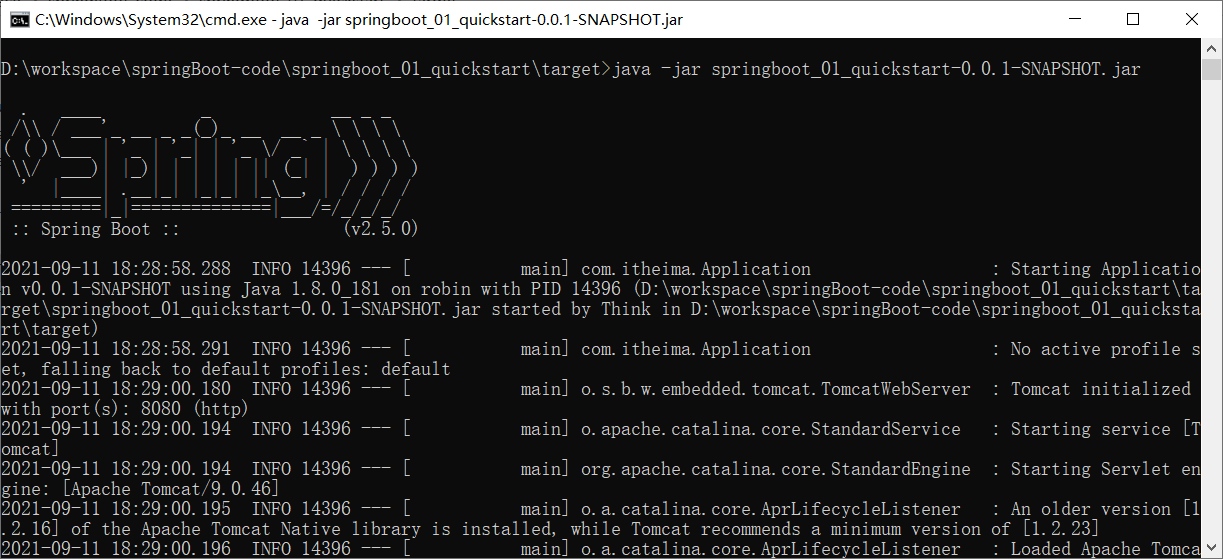 【Java笔记+踩坑】SpringBoot——基础-阿里云开发者社区