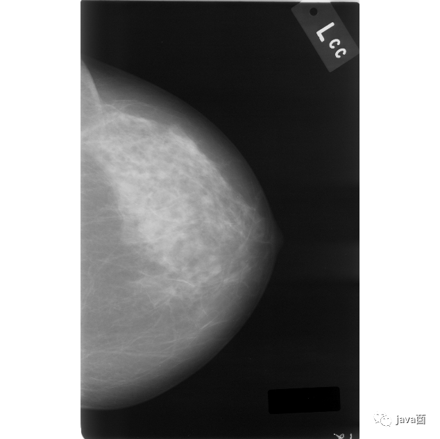 一图胜千言：EBImage库分割和标注让你的图像说话-阿里云开发者社区