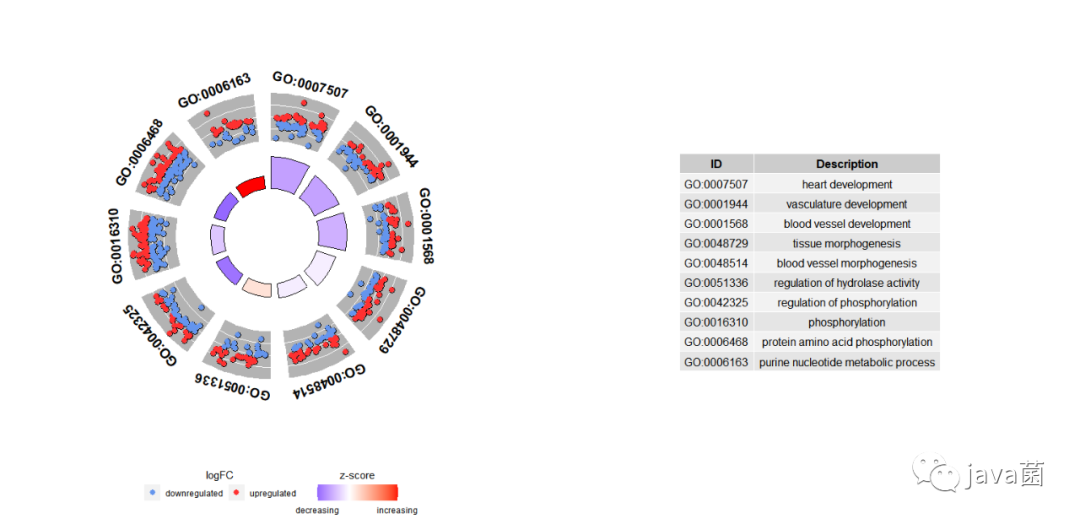 渐进式学习：如何用R和GO富集可视化捕捉生命的关键信号？-阿里云开发者社区