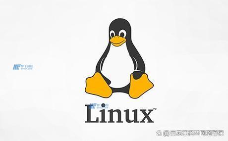 Ubuntu Fedora Debian三大Linux发行版对比选择与定制-开发者社区-阿里云